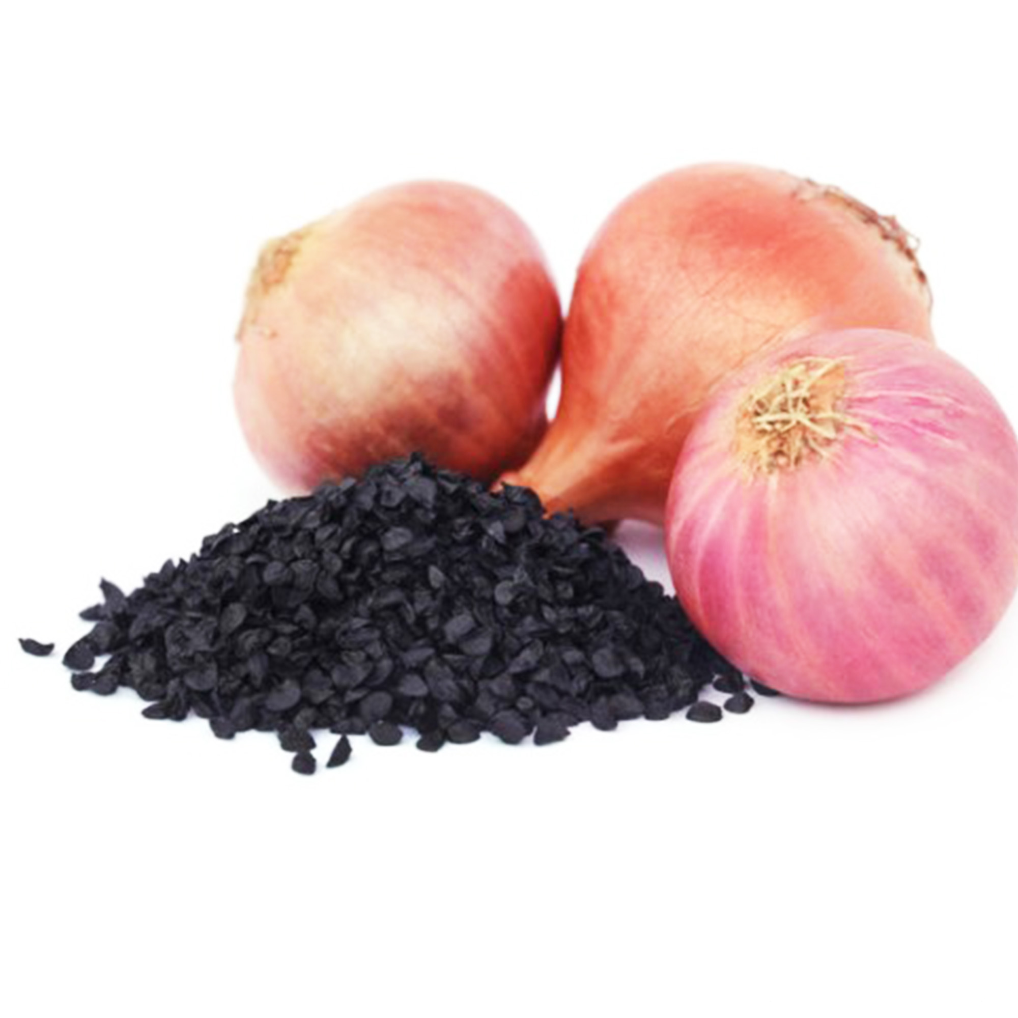 Moroccan Natural Black Onion Seeds (بذور البصل الأصلي) | Culinary Seeds ...