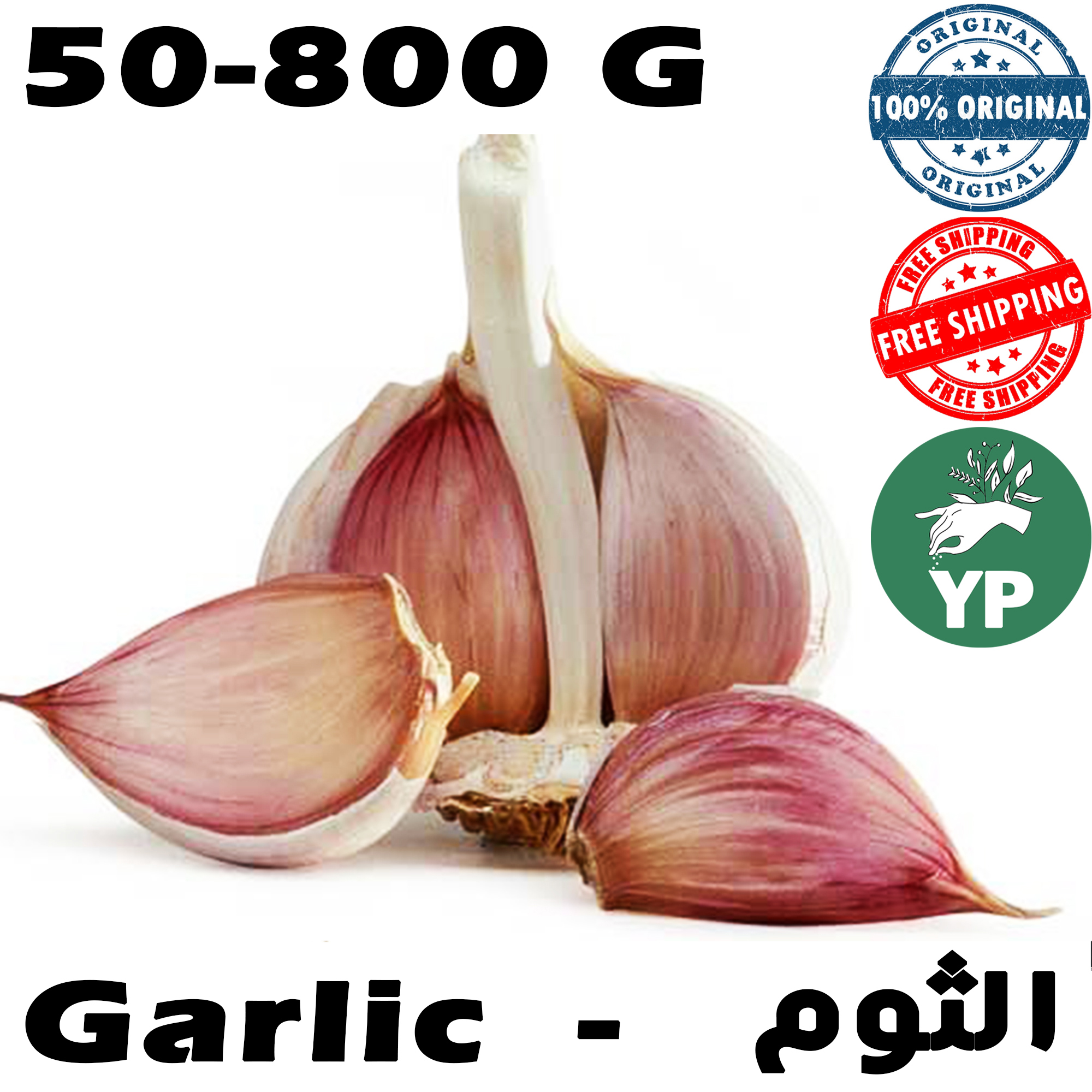 Moroccan Natural Grains of Paradise (الكوزة الصحراوية - جوز الشرك ...