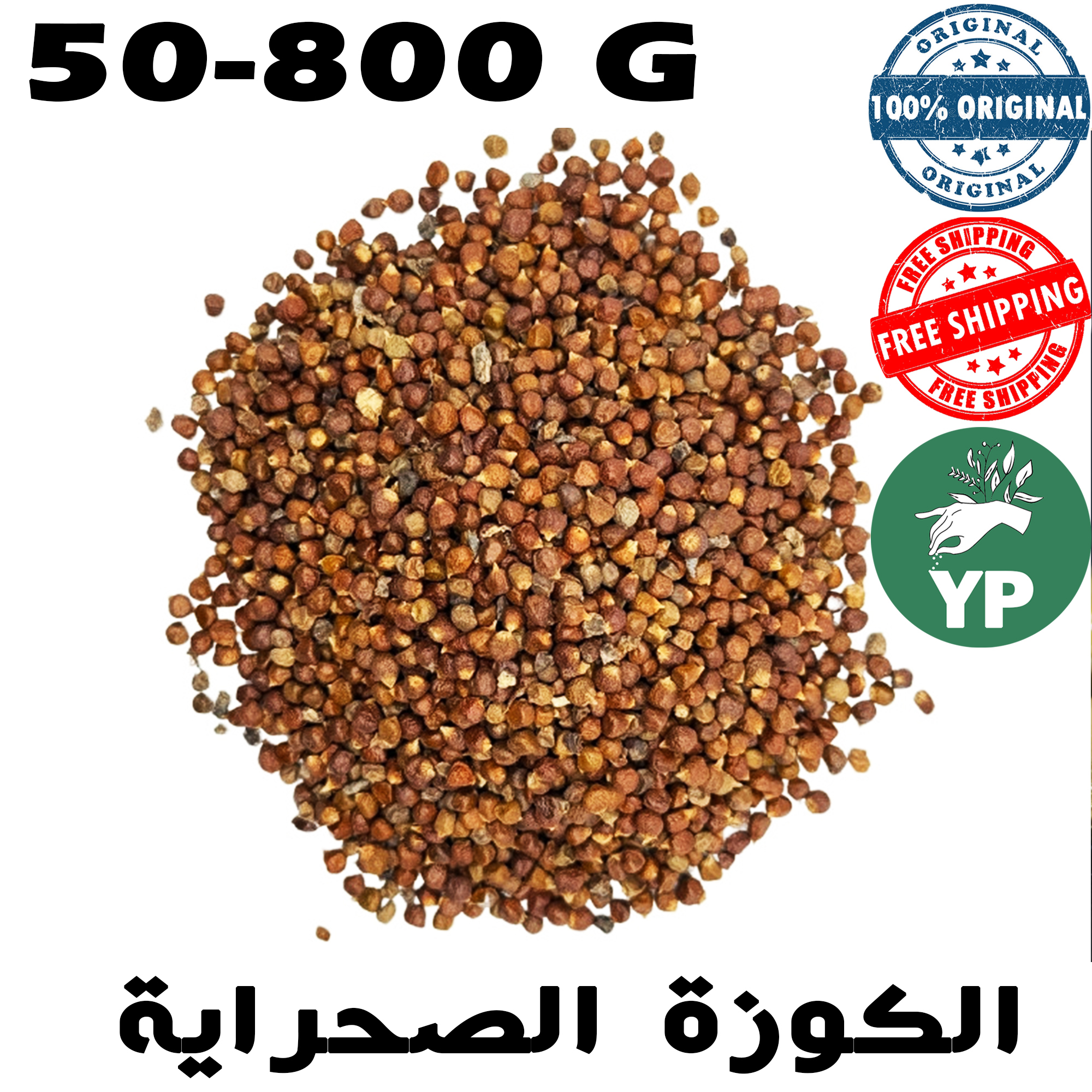 Moroccan Natural Grains of Paradise (الكوزة الصحراوية - جوز الشرك ...