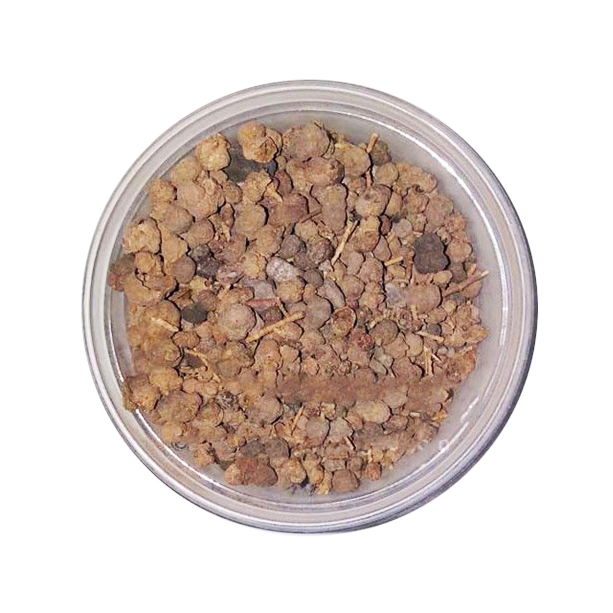 Moroccan Natural Takaout (عشبة تكاوت) | Traditional Beauty 50g-800g ...