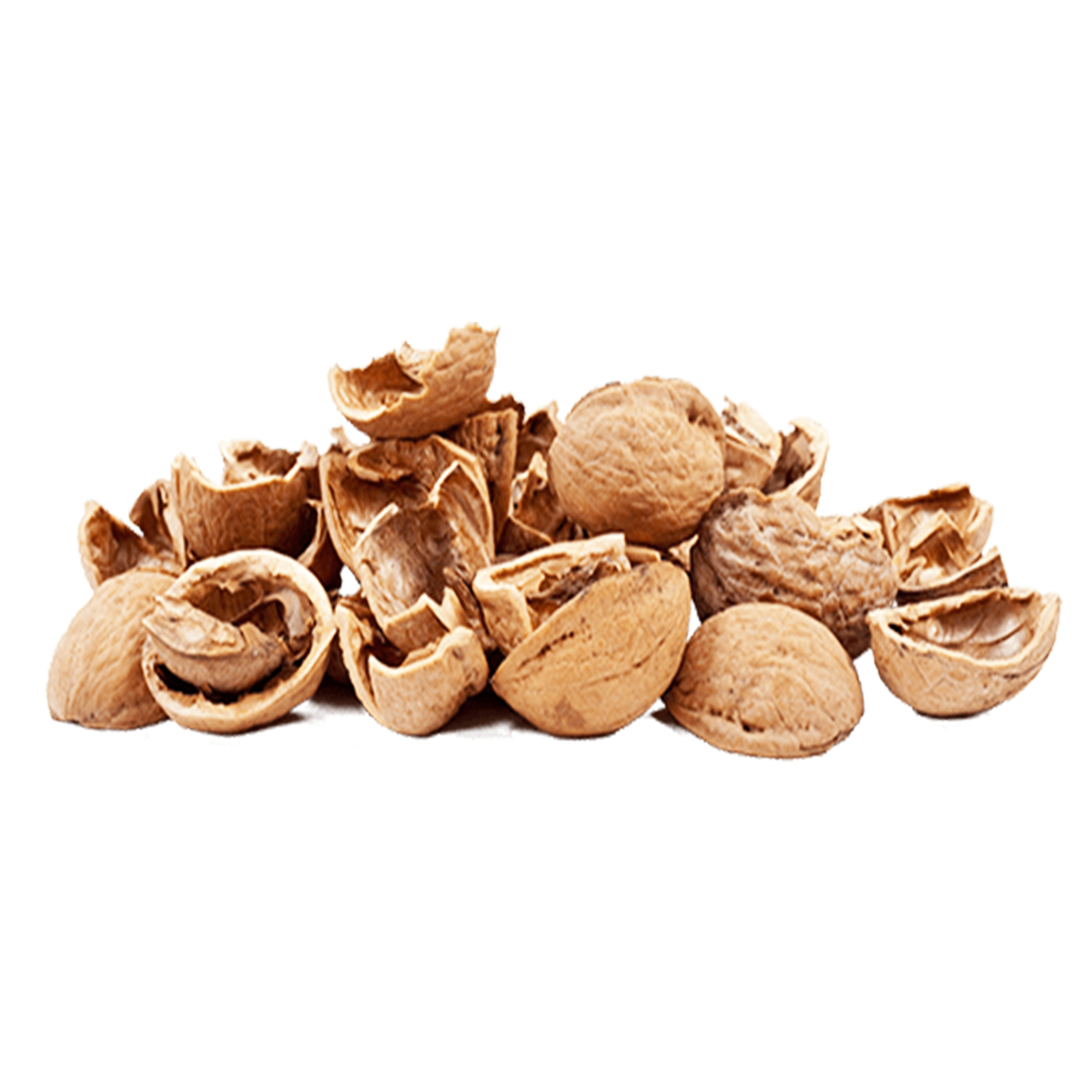 Moroccan Natural Walnut Shells (قشور الجوز - الكركاع) | Traditional ...
